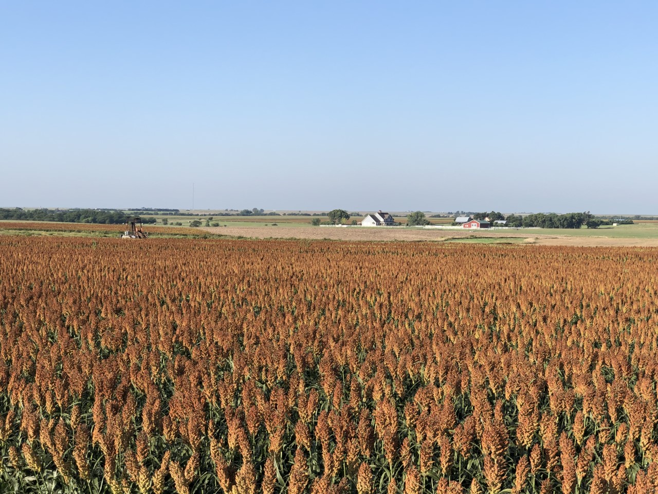 Fall Harvest | Year on the Family Farm