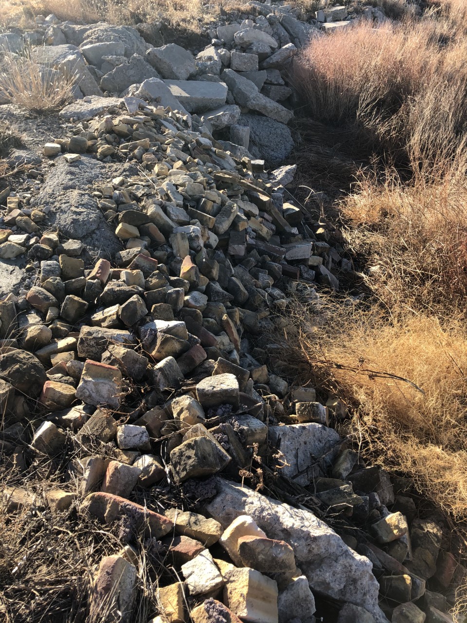 Piddling Around | Year on the Family Farm